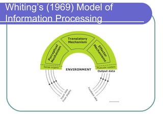A level PE Info processing, memory and reaction time | PPT