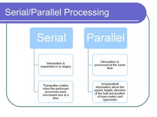 A level PE Info processing, memory and reaction time | PPT