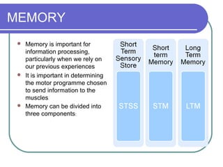 A level PE Info processing, memory and reaction time | PPT