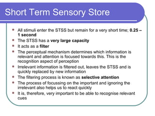 A level PE Info processing, memory and reaction time | PPT | Sports