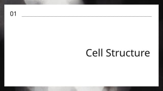 A Levels Biology - Cells, Metabolism and Anatomy | PPTX