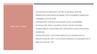 A level sports science energy systems | PPTX