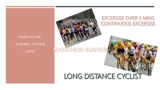 A level sports science energy systems | PPT