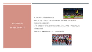 A level sports science energy systems | PPTX