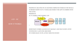 A level sports science energy systems | PPT