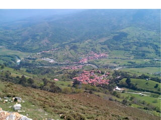 Alevia | ODP