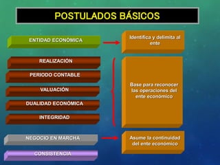 ESTRUCTURA DE LA NIF | PPT