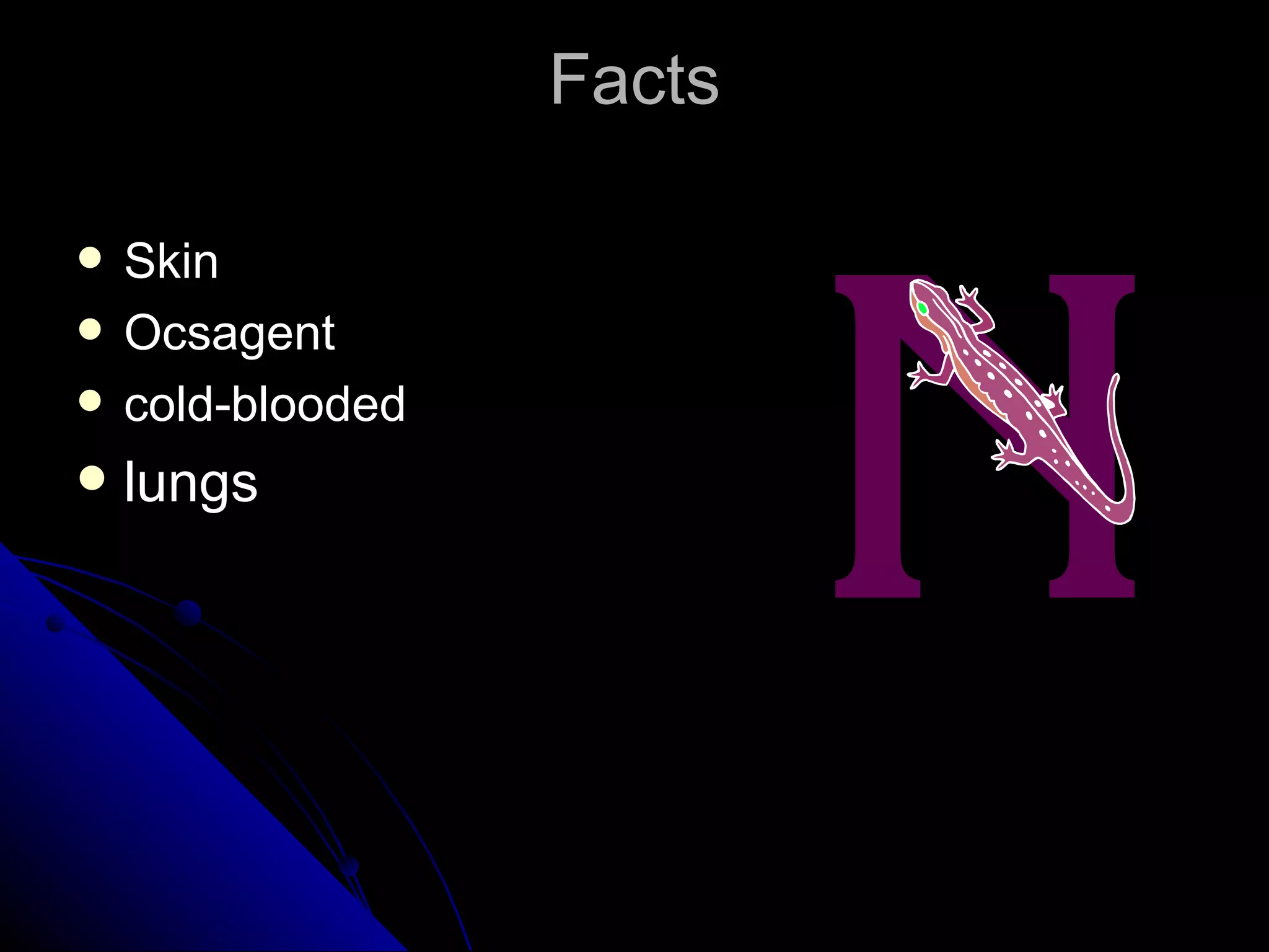 Amphibians | PPT