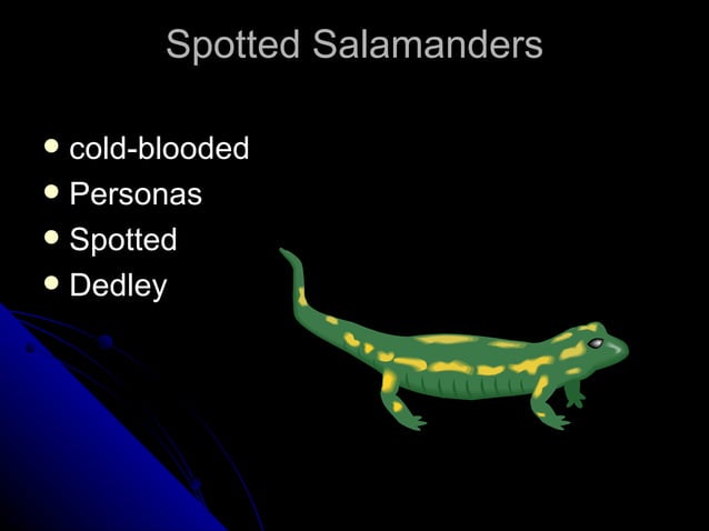 Amphibians | PPT