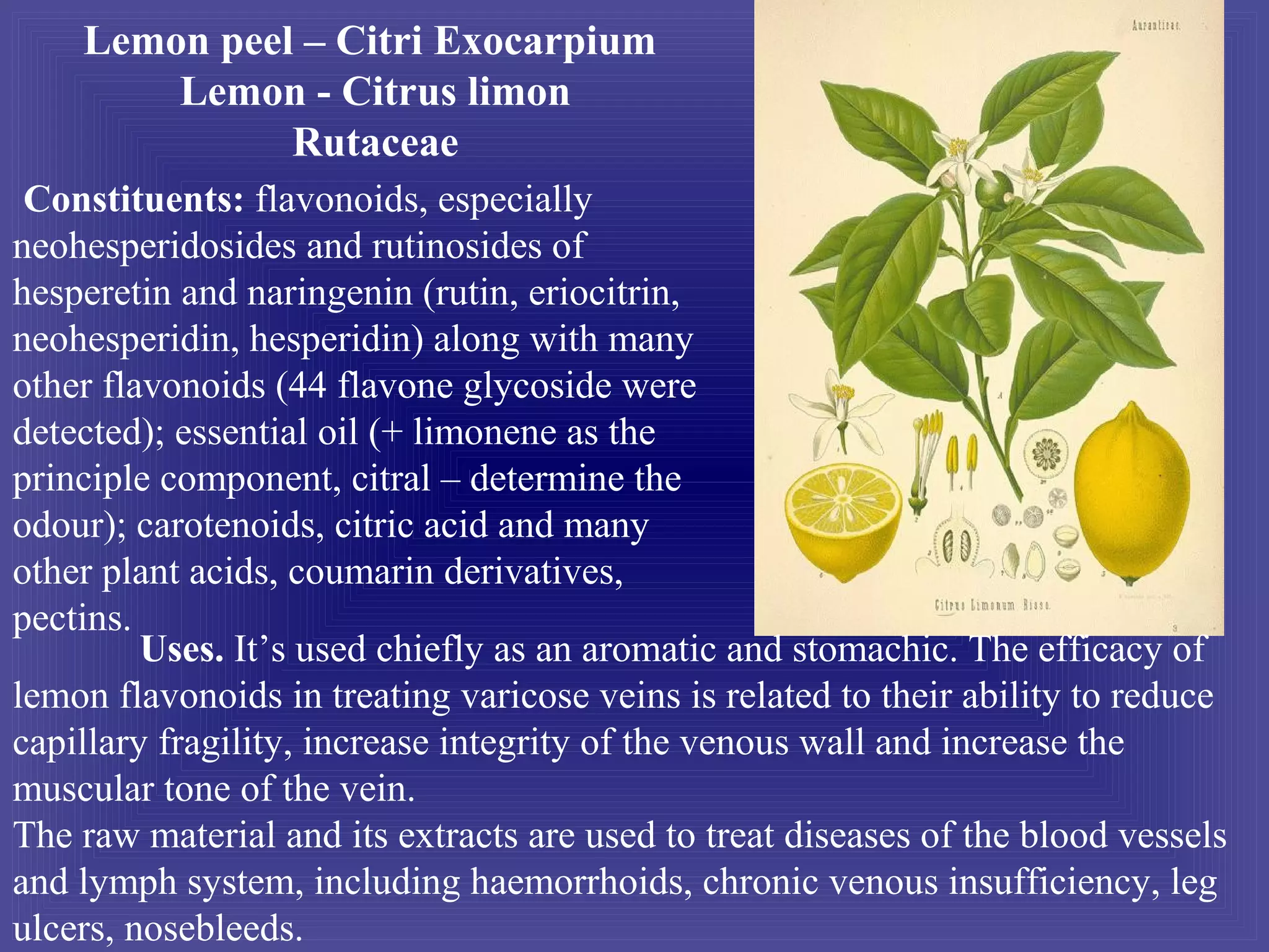 flavonoids | PPT