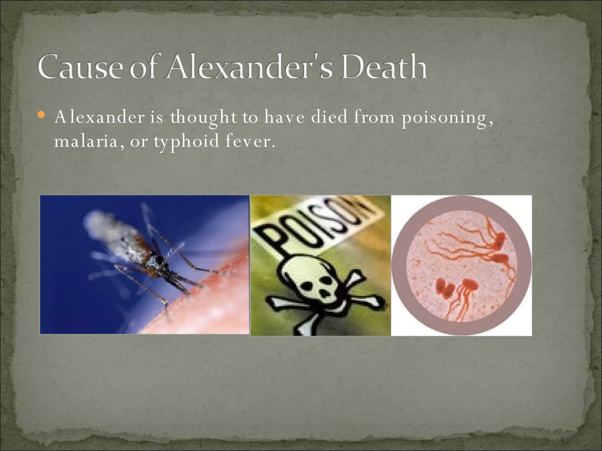 Alexander The Great | PPT