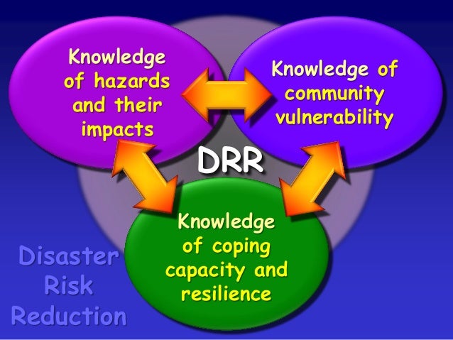 A Holistic Approach to Disaster Risk Reduction - Problems and Opportu…