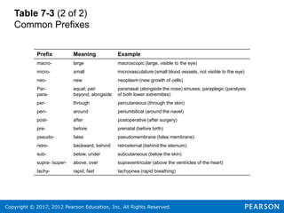 Alexander ch07 lecture | PPT
