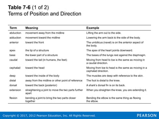 Alexander ch07 lecture | PPT