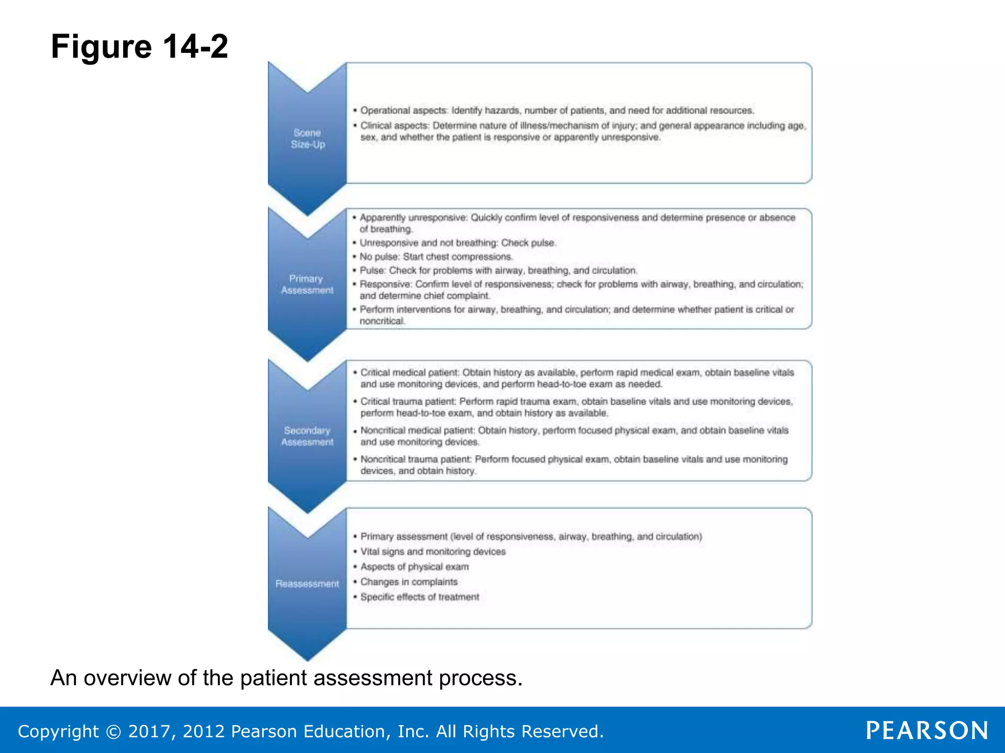 Alexander ch14 lecture | PPTX