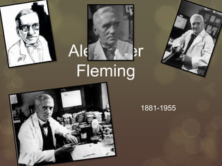 Alexander fleming | PPT