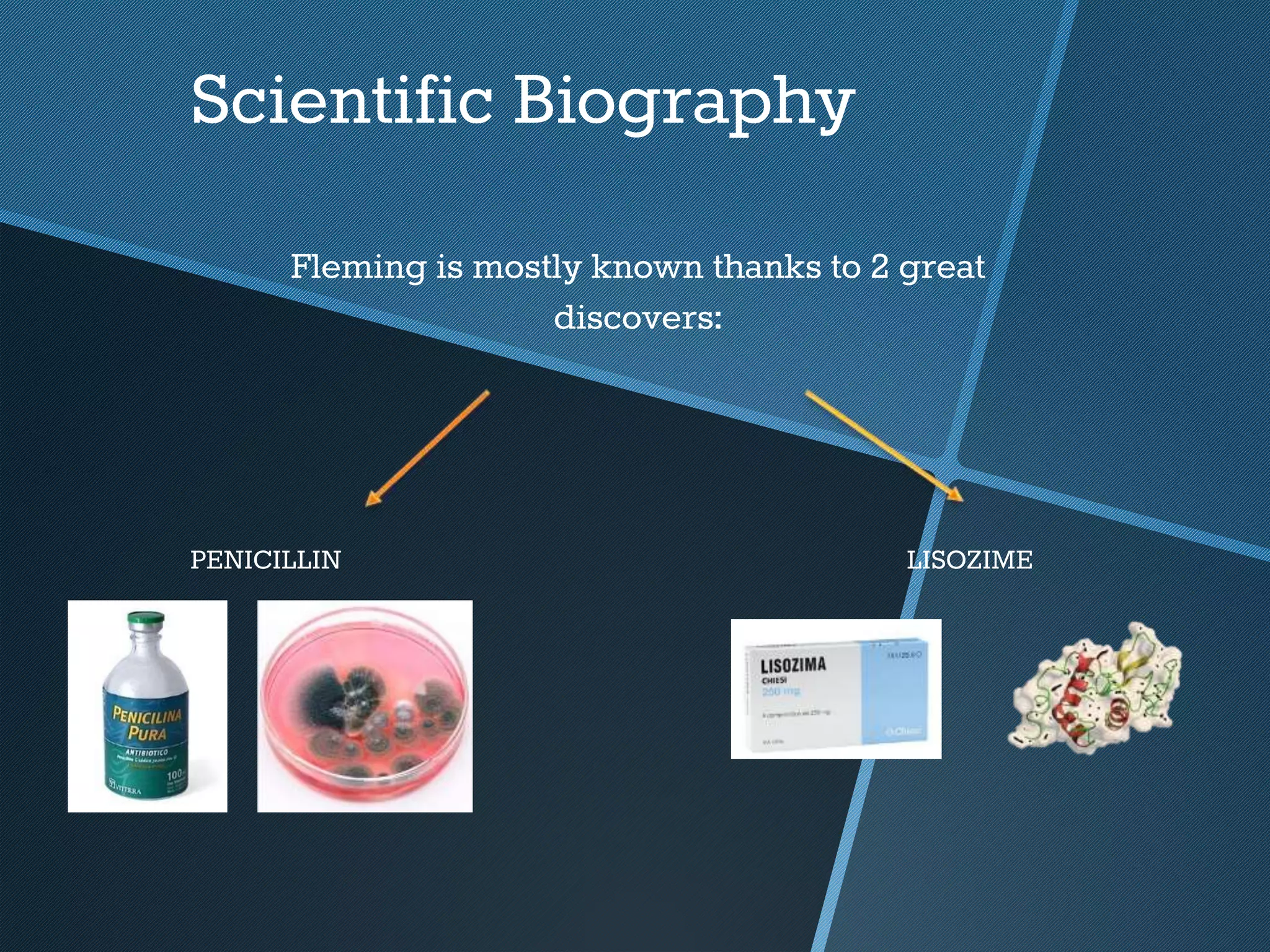 Alexander Fleming.ppt