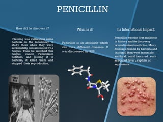 Alexander Fleming.ppt