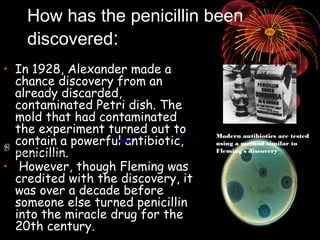 Alexander fleming yana_milenova | PPT