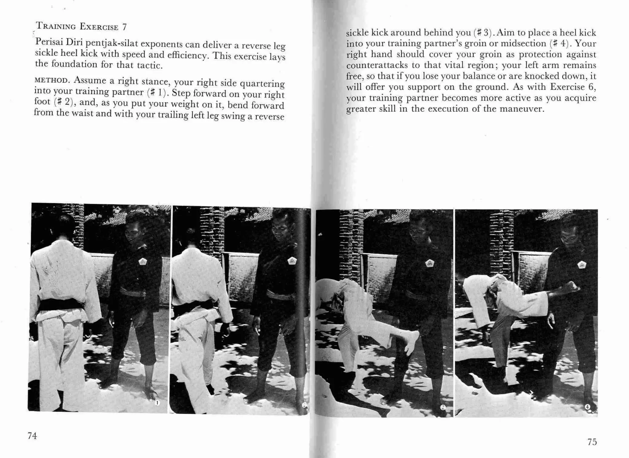 Alexander howard -_chambers_quintin_-_draeger_donn_f_-_pentjak-silat ...