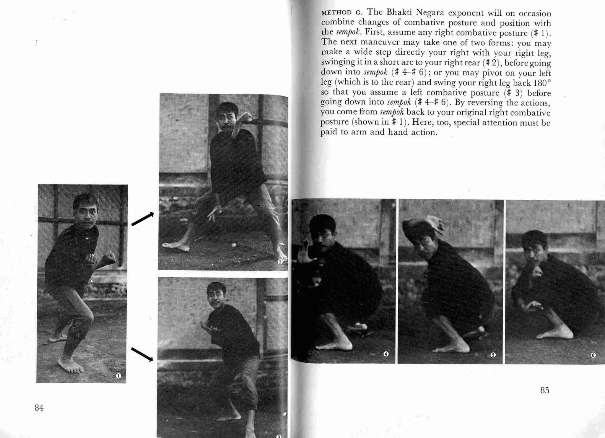Alexander howard -_chambers_quintin_-_draeger_donn_f_-_pentjak-silat ...