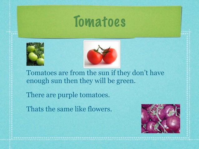 Sunlight Is A Renewable Resource | KEY | Environment | Science