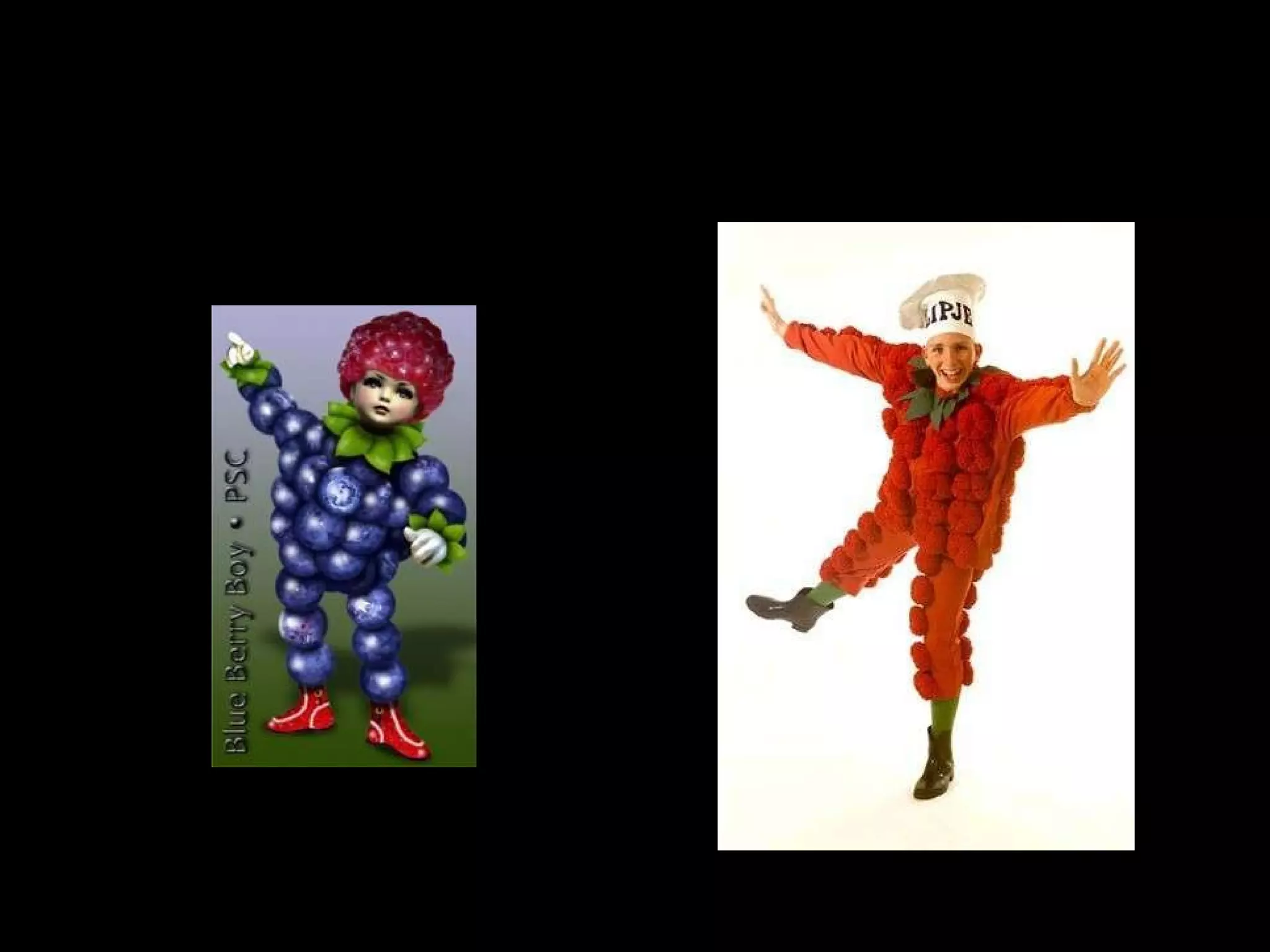 Alexandra van steen | PPT