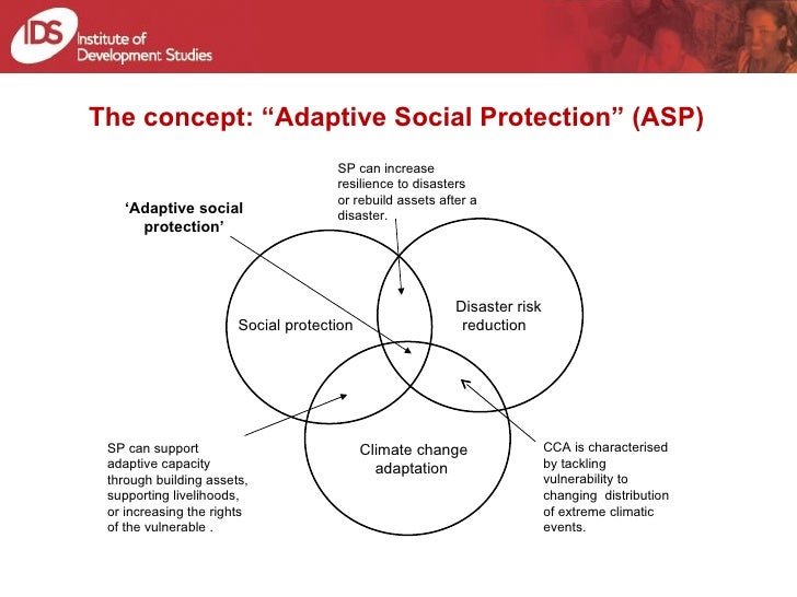 Alex Arnall: Adaptive Social Protection: Mapping the Evidence and Pol…