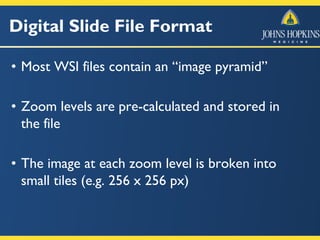 Digital Pathology at John Hopkins | PDF | Operating Systems | Computer Software and Applications