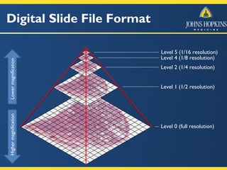Digital Pathology at John Hopkins | PDF | Operating Systems | Computer Software and Applications