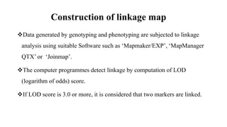 Selection system: Biplots and Mapping genotyoe | PPTX