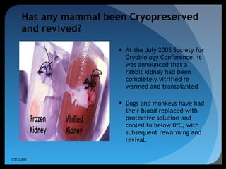 Cryonics For Dummies | PPT