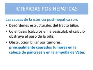Síndrome Icterico | PPTX