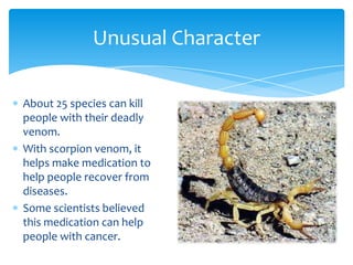 All About Scorpions | PPT