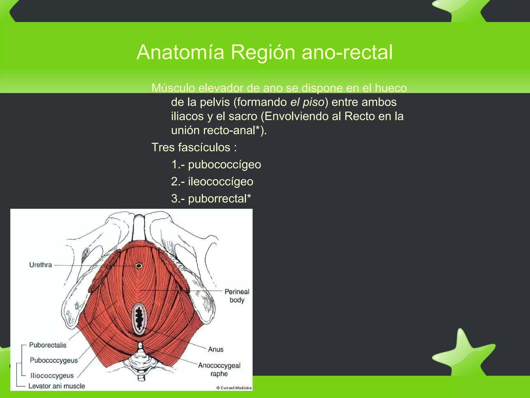 patologia anorectal cirugia medica clinica | PPT