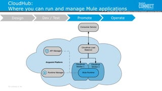 CloudHub and other Cloud Deployment Options | PPTX