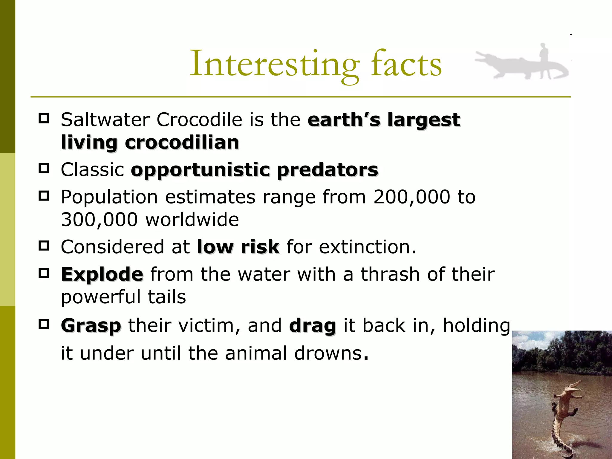 Alex mazzadi alex science project saltwater crocs | PPT