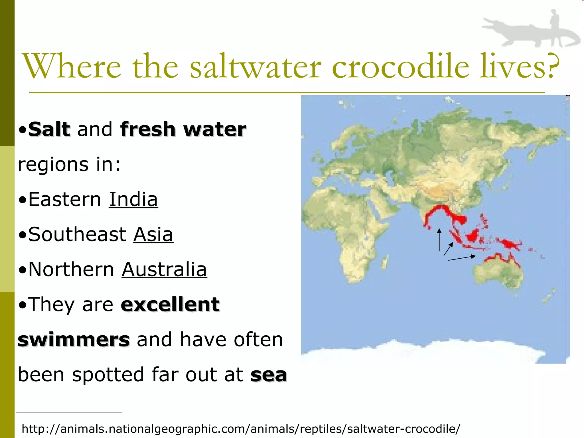 Alex mazzadi alex science project saltwater crocs | PPT