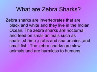 Alex miller's power point for science class | PPT | Fish and Aquariums ...