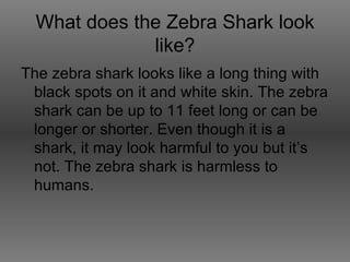 Alex miller's power point for science class | PPT | Fish and Aquariums ...