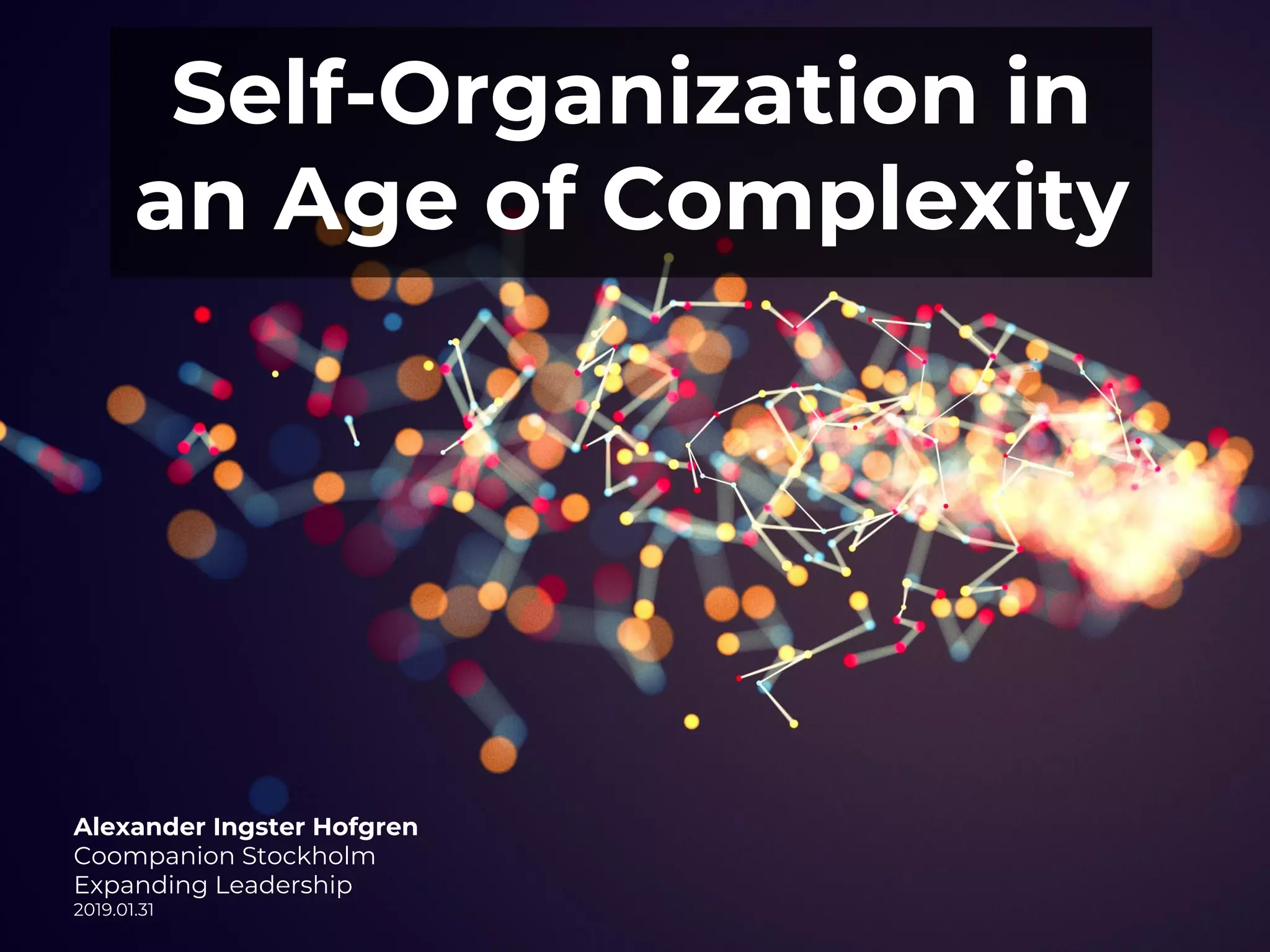 Self Organization in an Age of Complexity | PPT