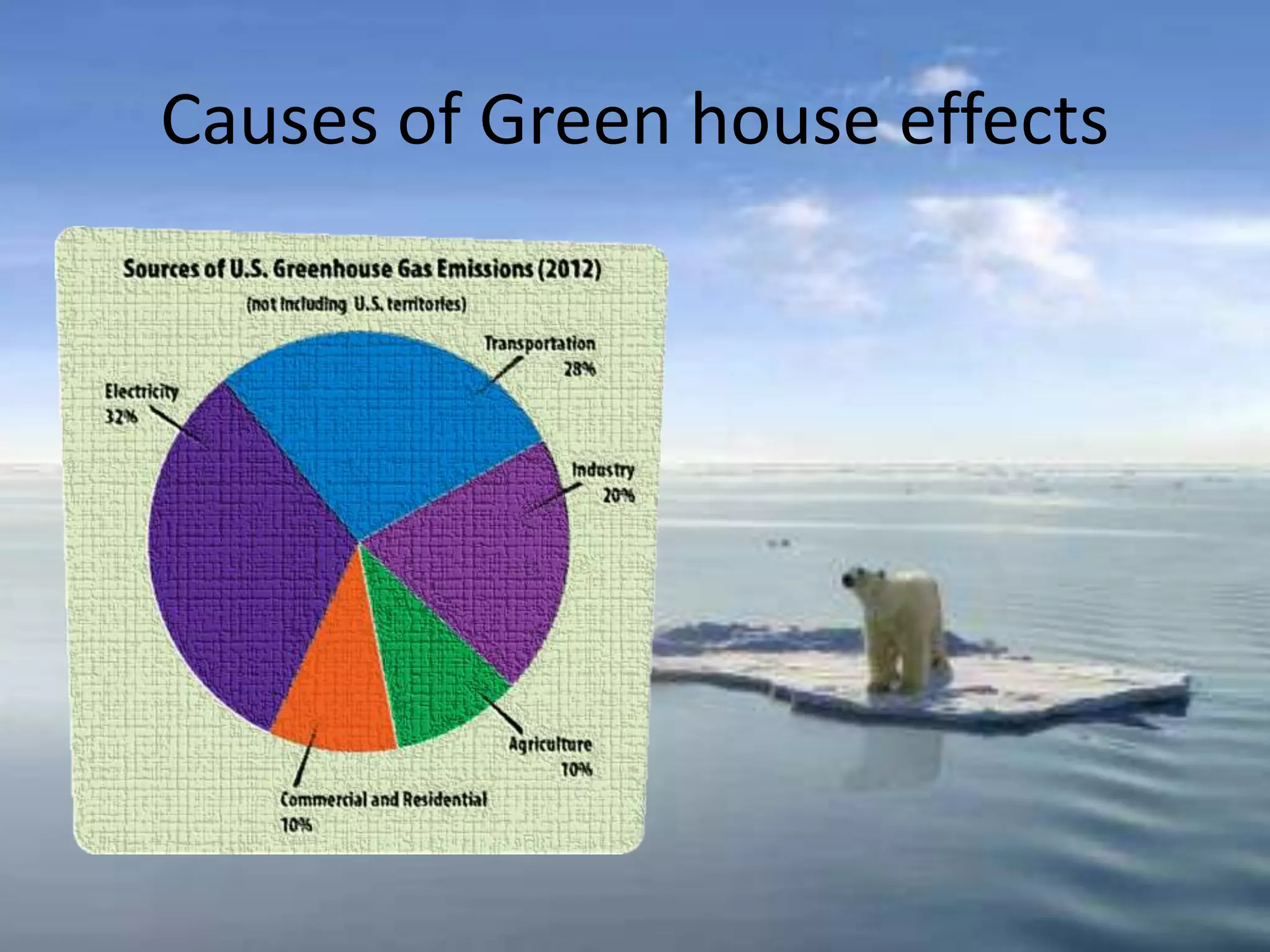 Alex Wilkinson | PPT