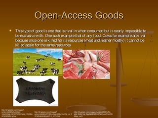 Alex woods private and public goods power point | PPT