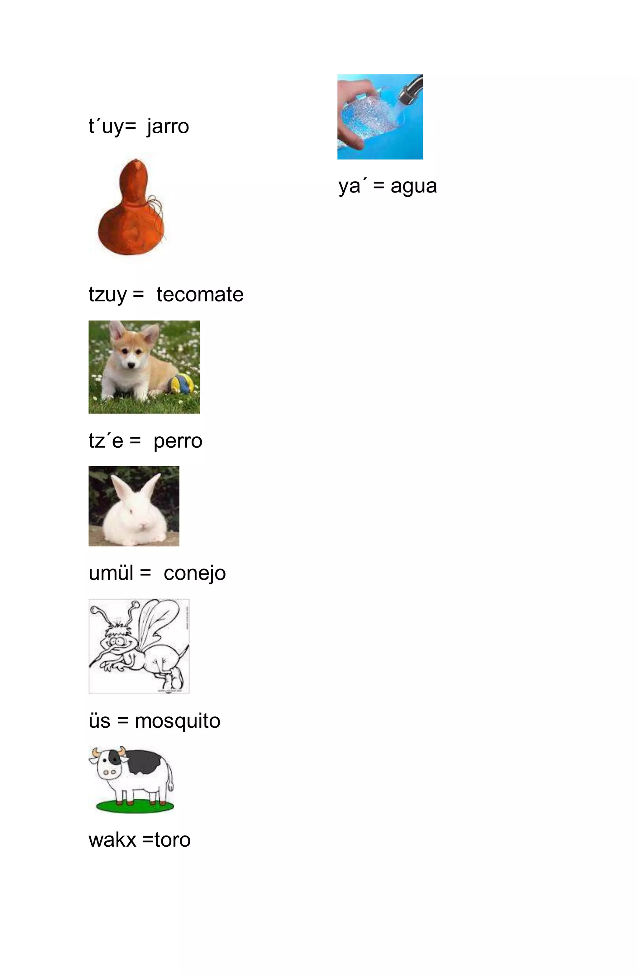 Alfabeto en kaqchikel con imagenes | DOCX