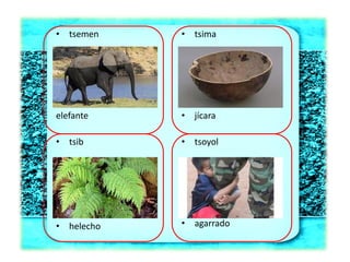 Alfabeto en tseltal | PDF