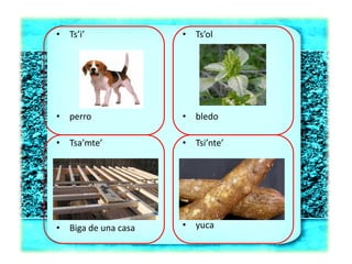 Alfabeto en tseltal | PDF