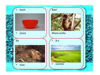 Alfabeto en tseltal | PDF