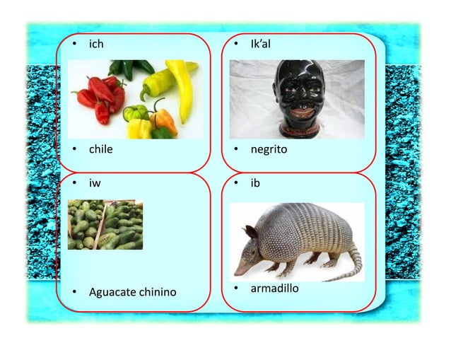 Alfabeto en tseltal | PDF