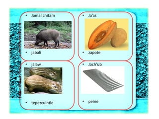 Alfabeto en tseltal | PDF