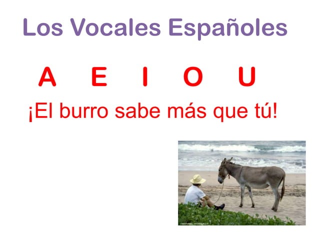 Alfabeto espanol & Pronunciation | PPTX